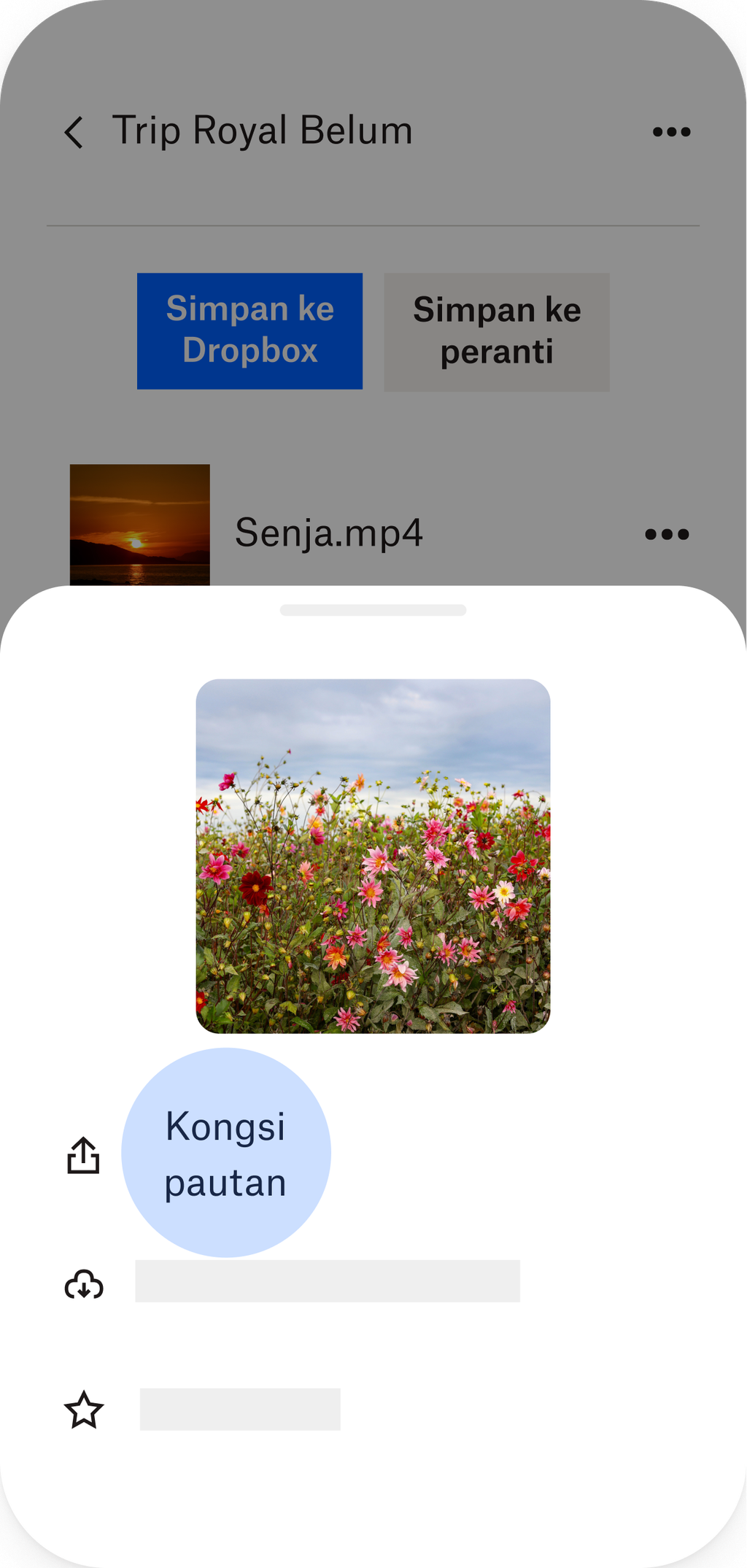 Kemas kini Dropbox Basic- Dropbox