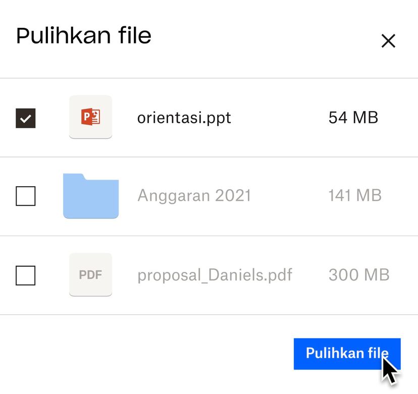 Add-On Riwayat Versi Ekstra - Dropbox