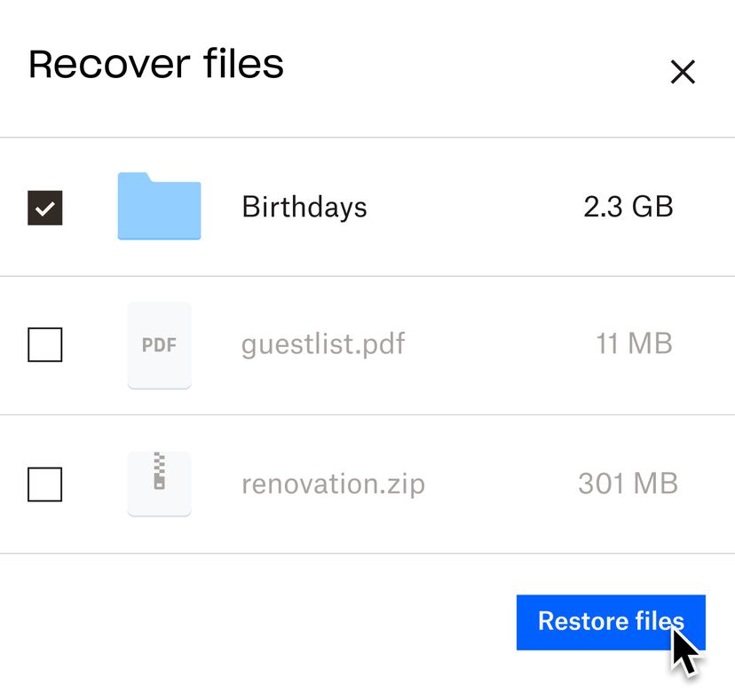 Personal Dropbox Account - Best-in-Class Security