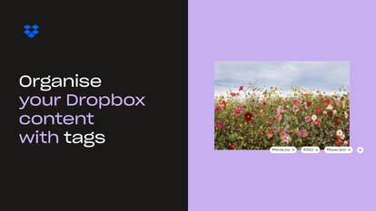 How to Organise Your Photos and Files with Tags - Dropbox