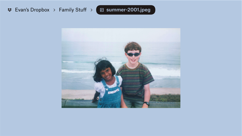 Using Dropbox to Share Photos with Family or Friends - Dropbox